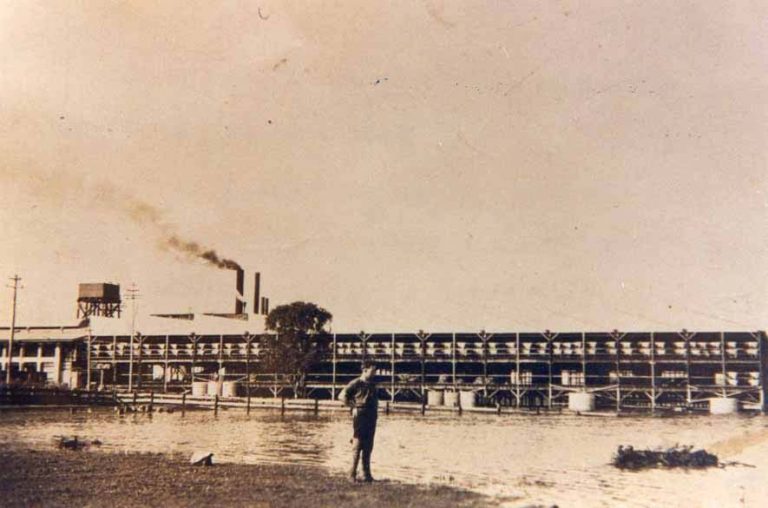 Major Floods in Riverstone – Riverstone & District Historical Society ...